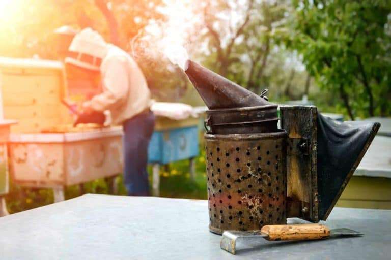 A Guide to Cleaning Your Beekeeping Equipment – Grampa's Honey