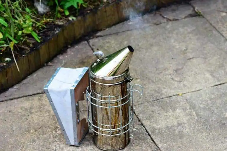 A Guide To Calming Down Bees Without Using Smoke – Grampa's Honey